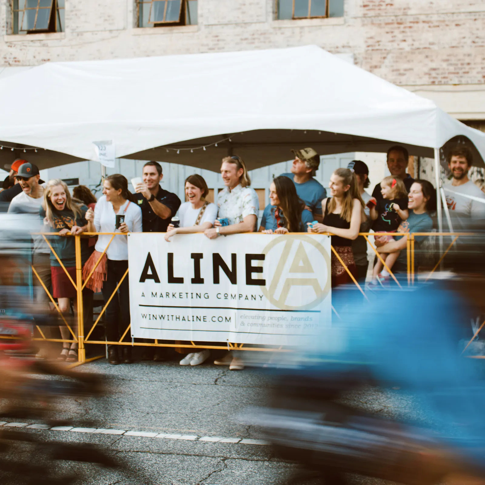 ALINE | Spartanburg's Website Design and Marketing Company